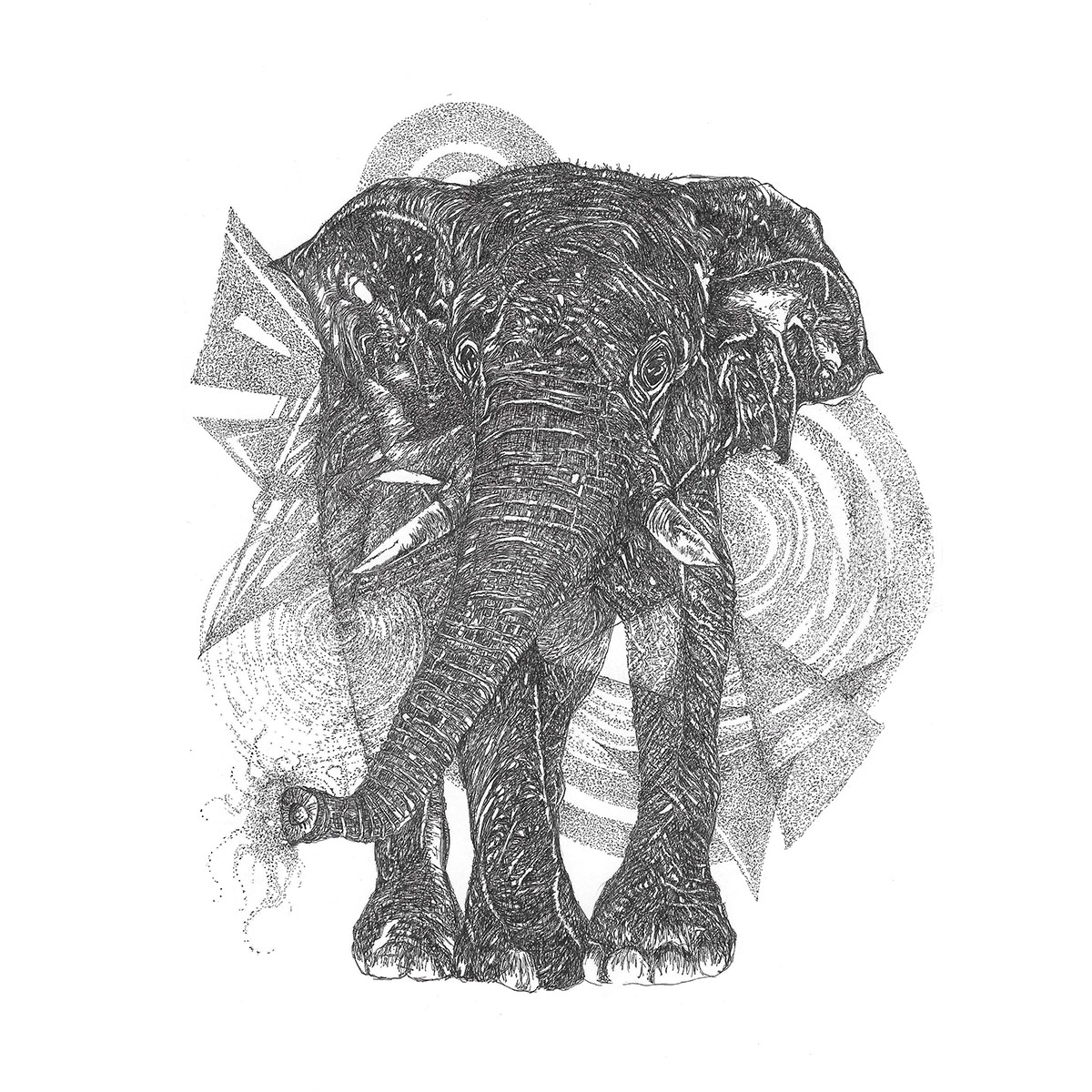 Michelle Shore Illustration – Made in Macclesfield